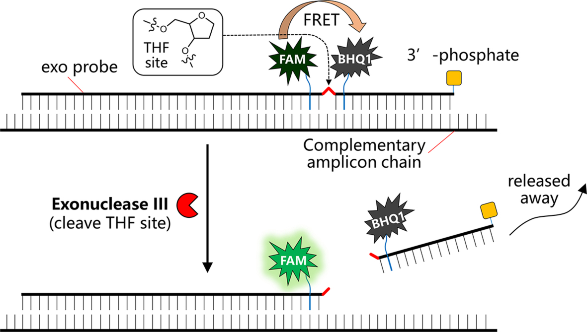 Sensitive methods for detection of SARS-CoV-2 RNA - Covid-19 ...